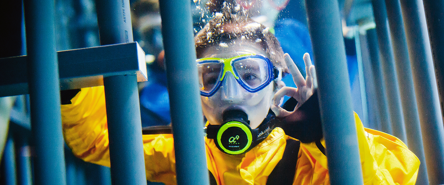 Shark Dives Re-Open - Point Defiance Zoo & Aquarium