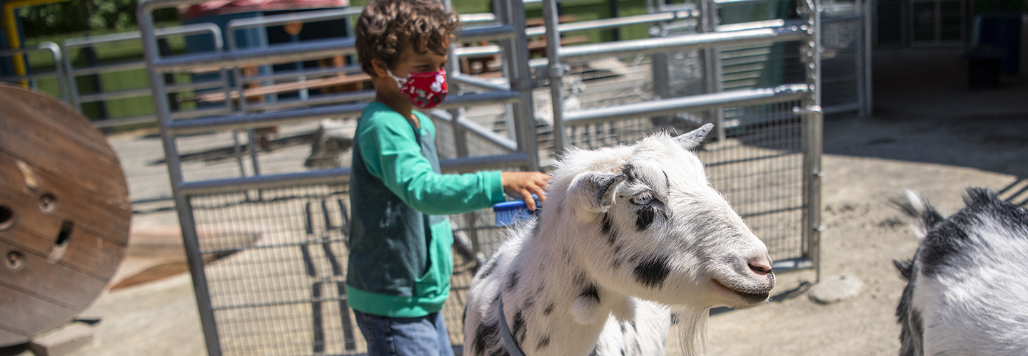 Groovy Goats Day-Spa - Point Defiance Zoo & Aquarium