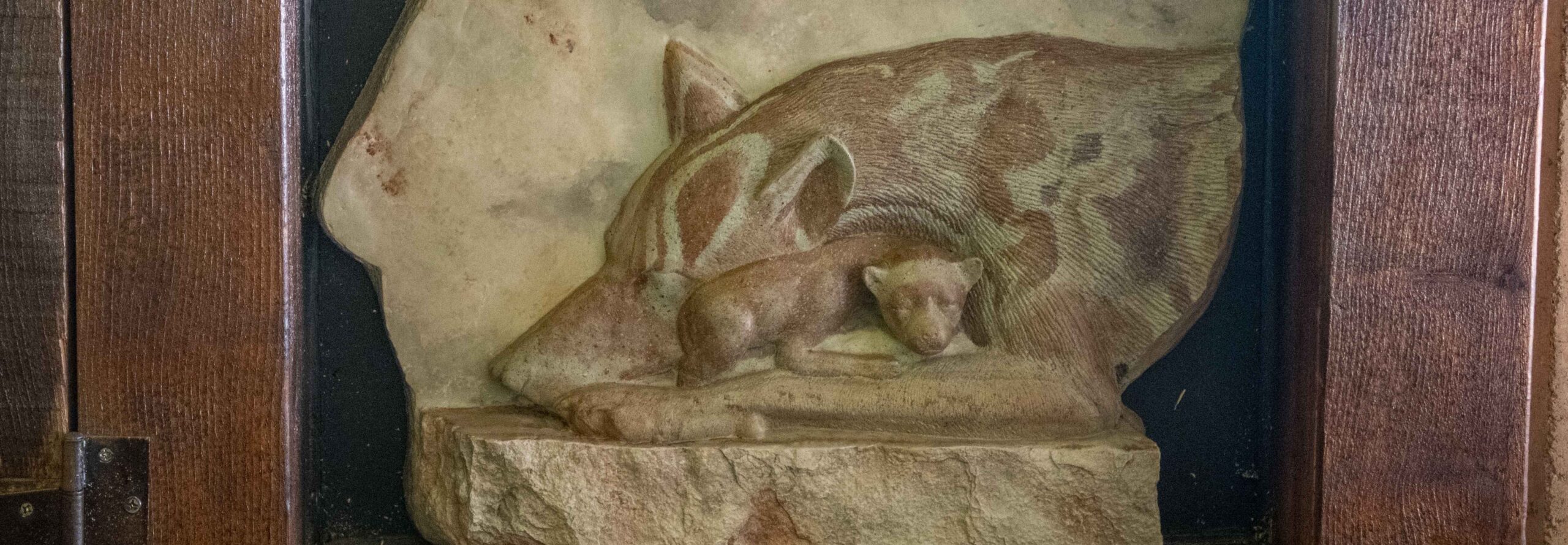 Red Wolf Art – Please Touch! - Point Defiance Zoo & Aquarium