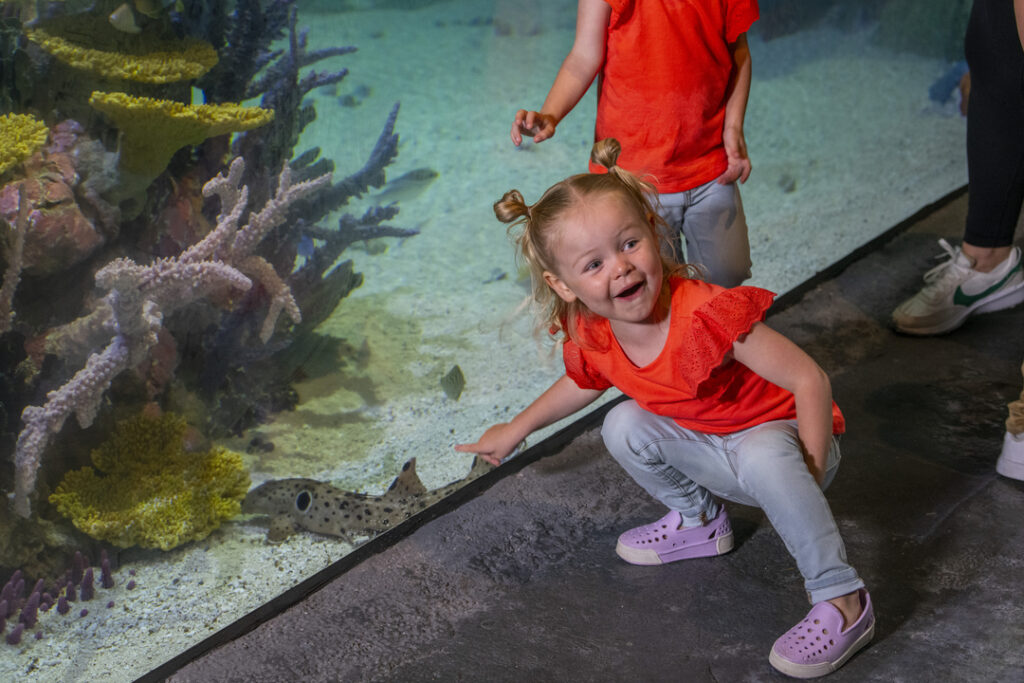 2024 in Photos - Point Defiance Zoo & Aquarium